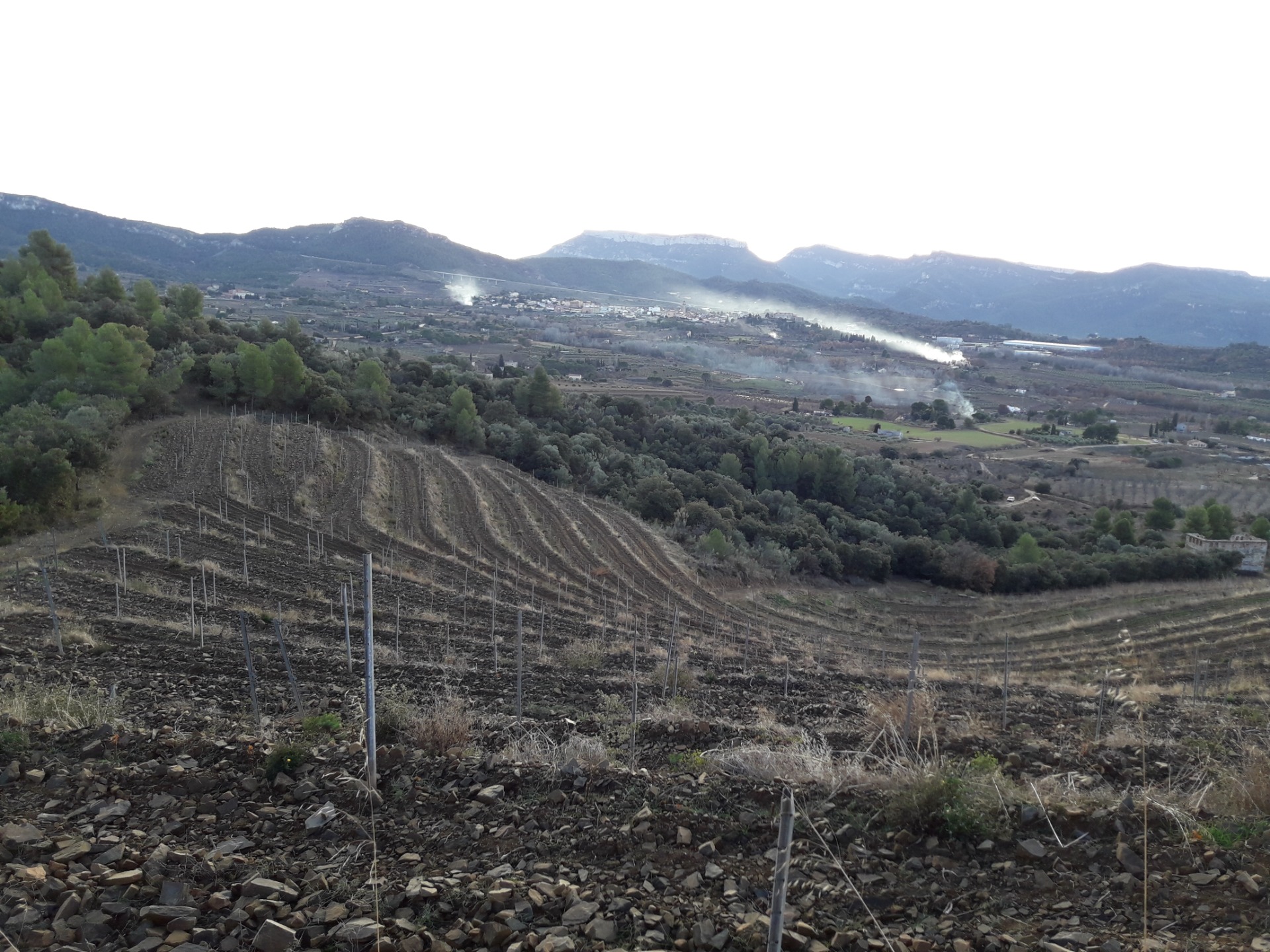 La nostra història :: Nubac Vins